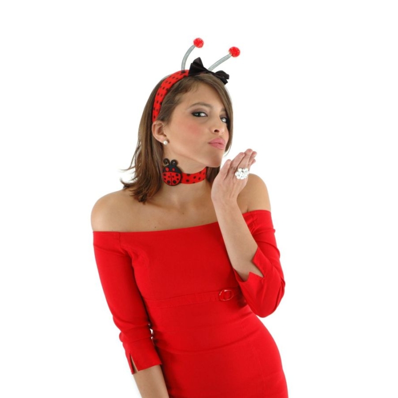 Ladybug Kit