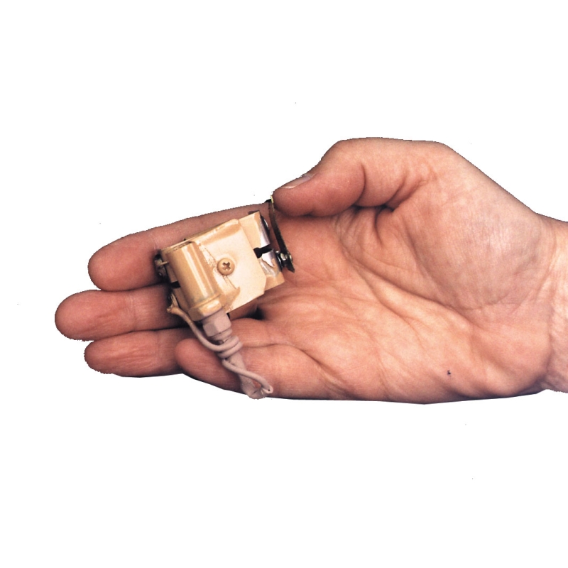 Hand Flasher Chrlt Only